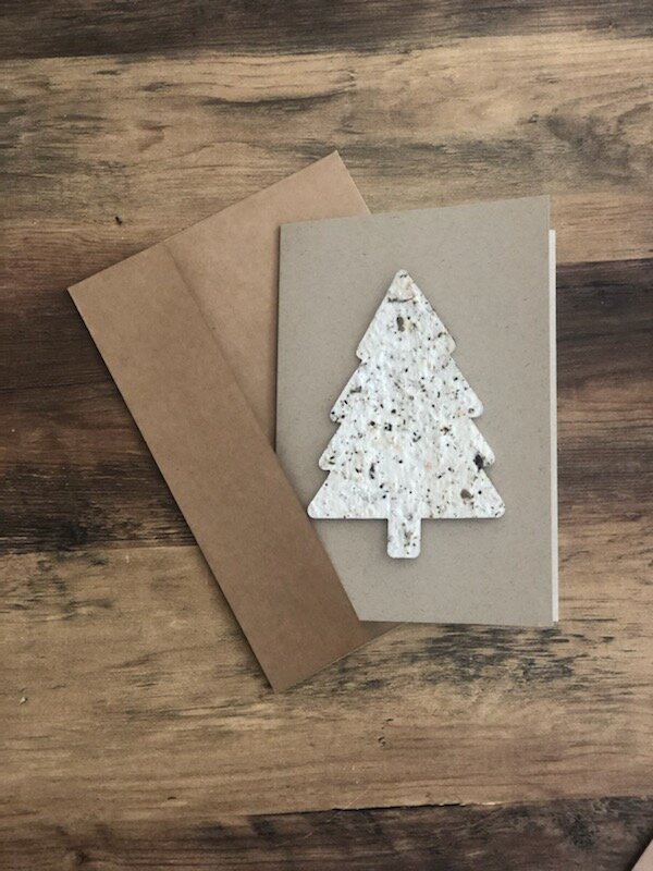 How to use Plantable Seed Paper? Complete Guide. - Southside Blooms