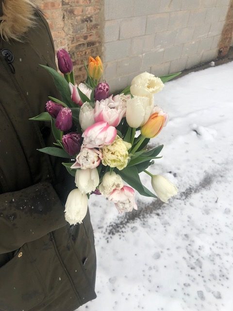 Individual Help Us Grow Flower Bouquet - Southside Blooms