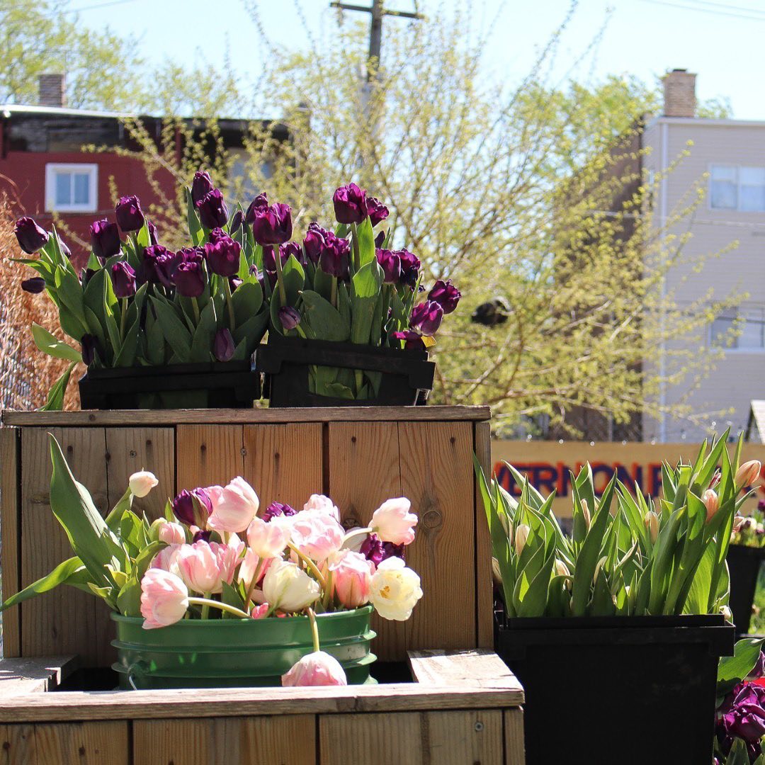 Top 6 Way to Embrace Organic Gardening and Resource Conservation for a ...