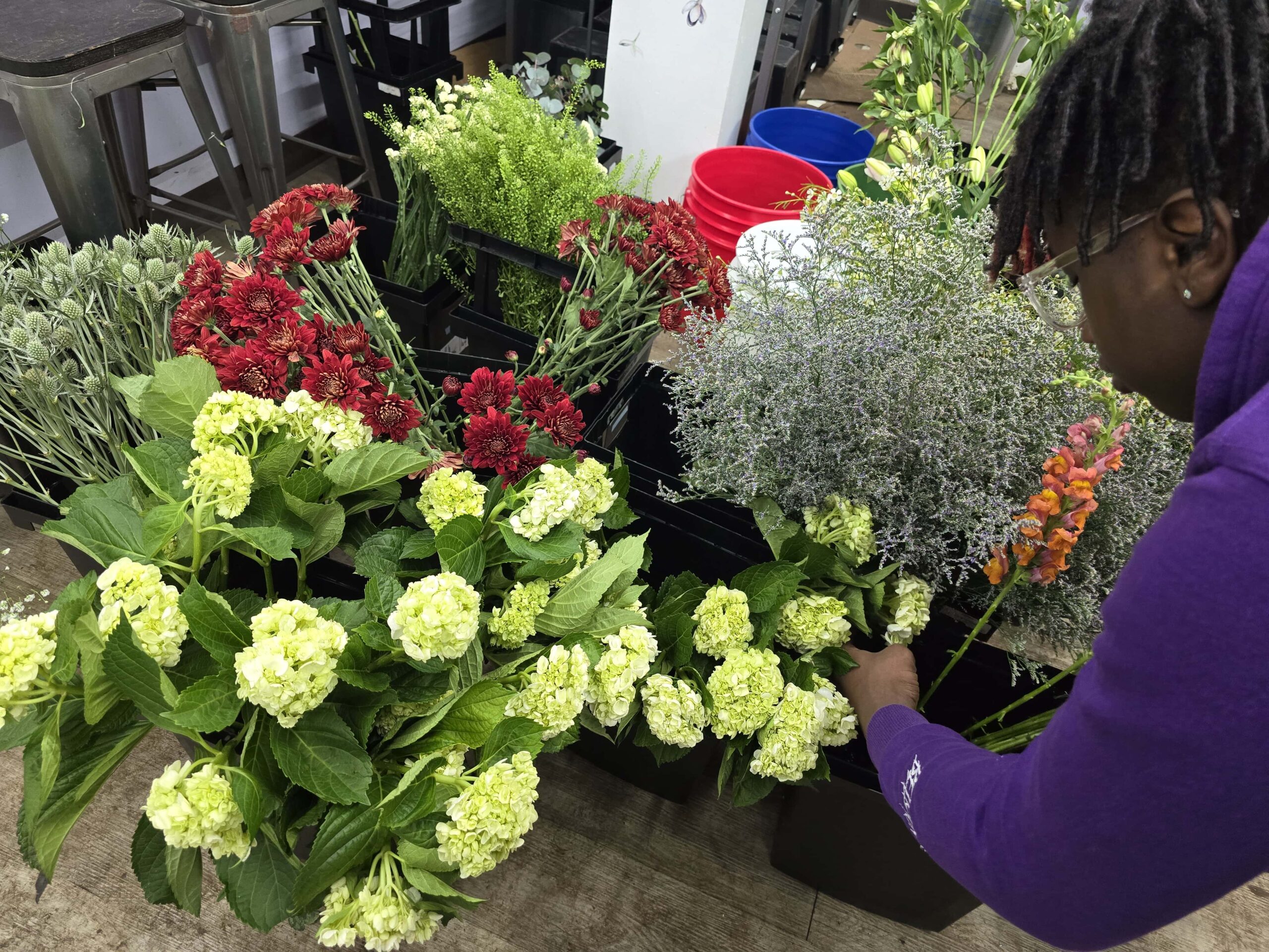 Newsletter signup - Southside Blooms