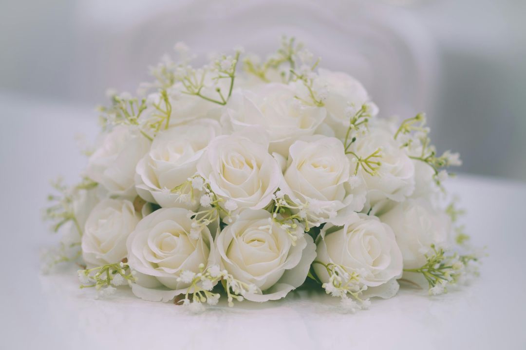 Types of White Flowers & their Meanings - Southside Blooms