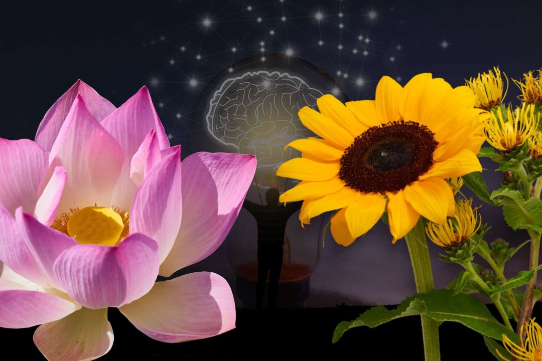What are the Top Flowers That Symbolize Strength & Resilience